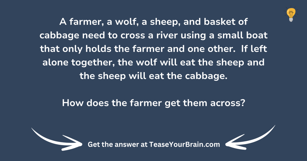 River Crossing - Tease Your Brain