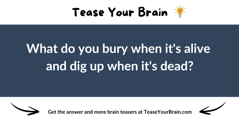 Bury While Alive Riddle - Tease Your Brain