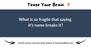 So Fragile Riddle - Tease Your Brain